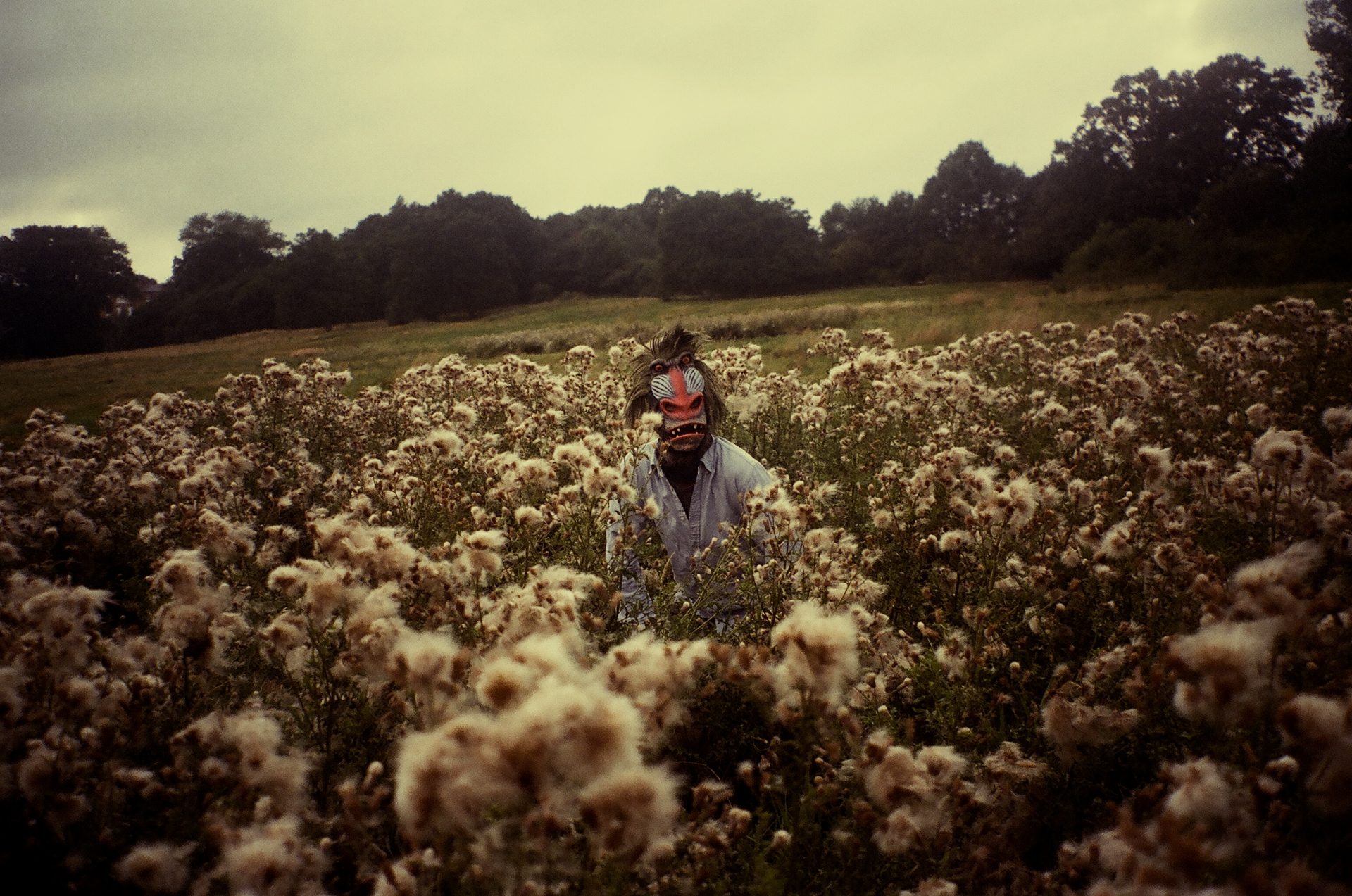 Interview: Catching Flies - The Find Mag